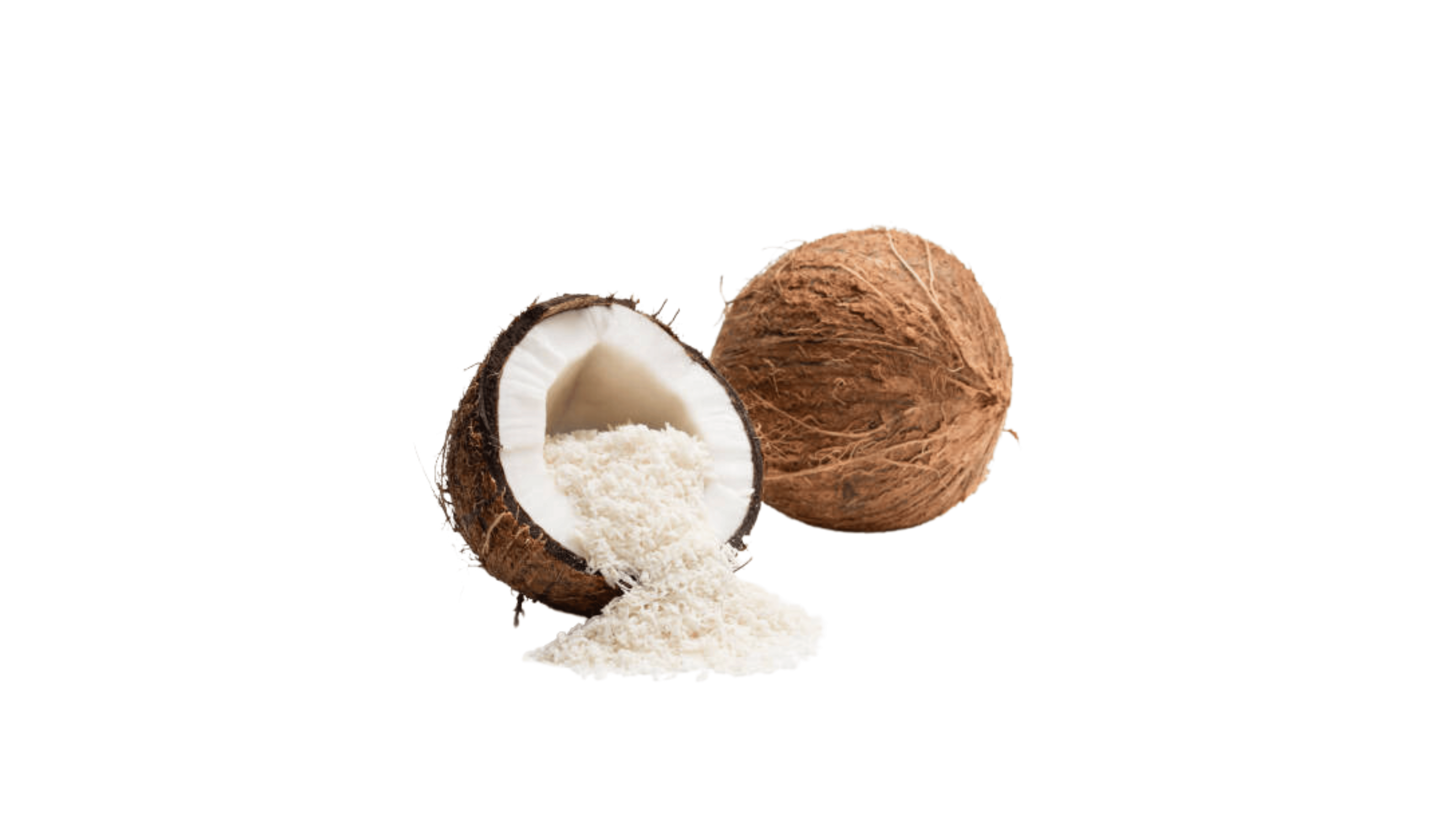 Coconut - Sercom Italia